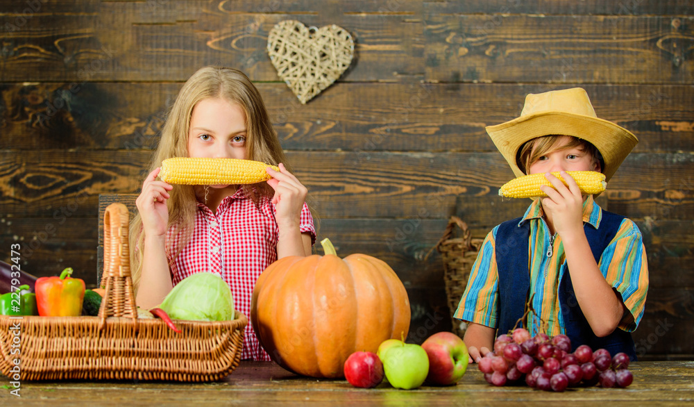 Celebrate harvest festival. Children play corncobs vegetables wooden ...