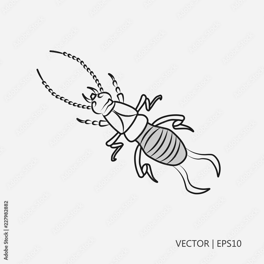 Vector illustration: Common earwig. Biting worm. Drawings for children ...