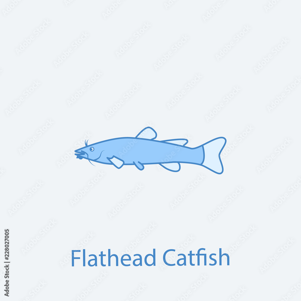 Vector de Stock flathead catfish 2 colored line icon. Simple light and ...