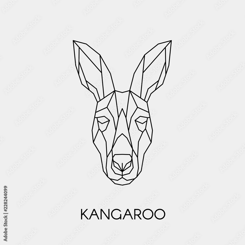 Geometric kangaroo. Polygonal linear australian animal head. Vector ...
