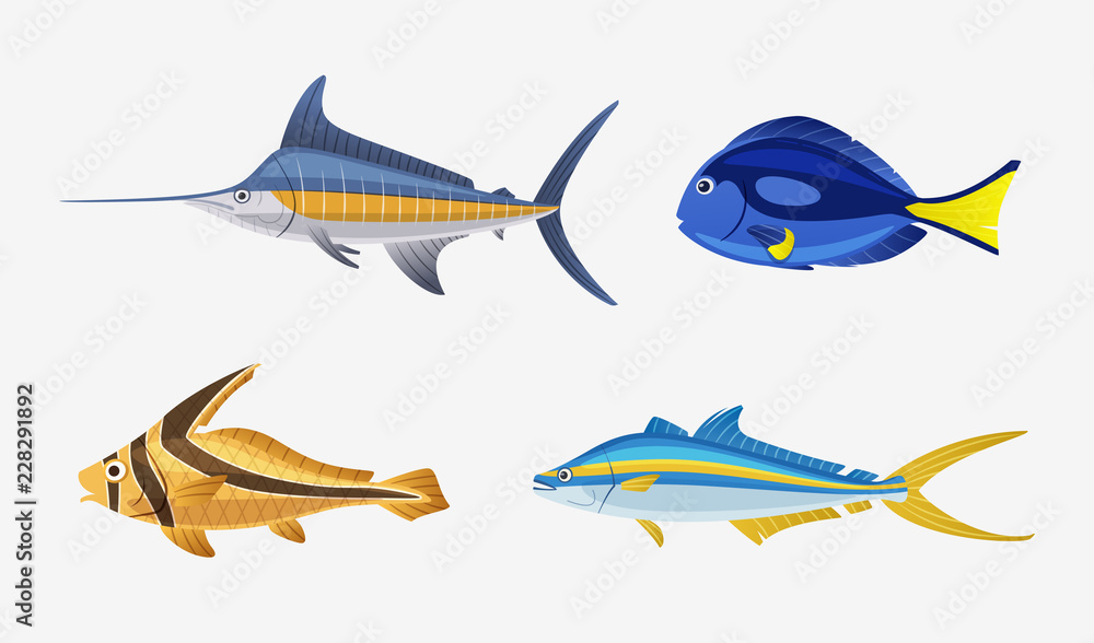 Fish characters. Cartoon vector illustration Stock Vector | Adobe Stock