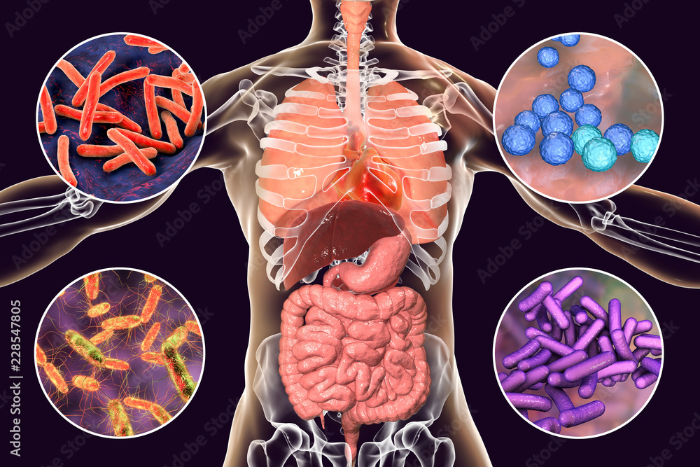 Ilustrace Human pathogenic microbes, bacteria causing respiratory and ...