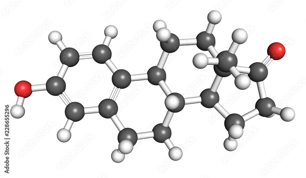 Estrone is a an estrogenic hormone secreted by the ovary and adipose ...