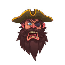 Angry Pirate Free Stock Photo - Public Domain Pictures