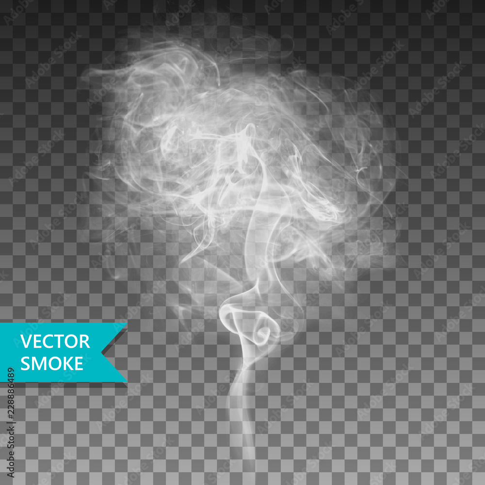 Vector realistic smoke on the transparent background. Stock Vector ...