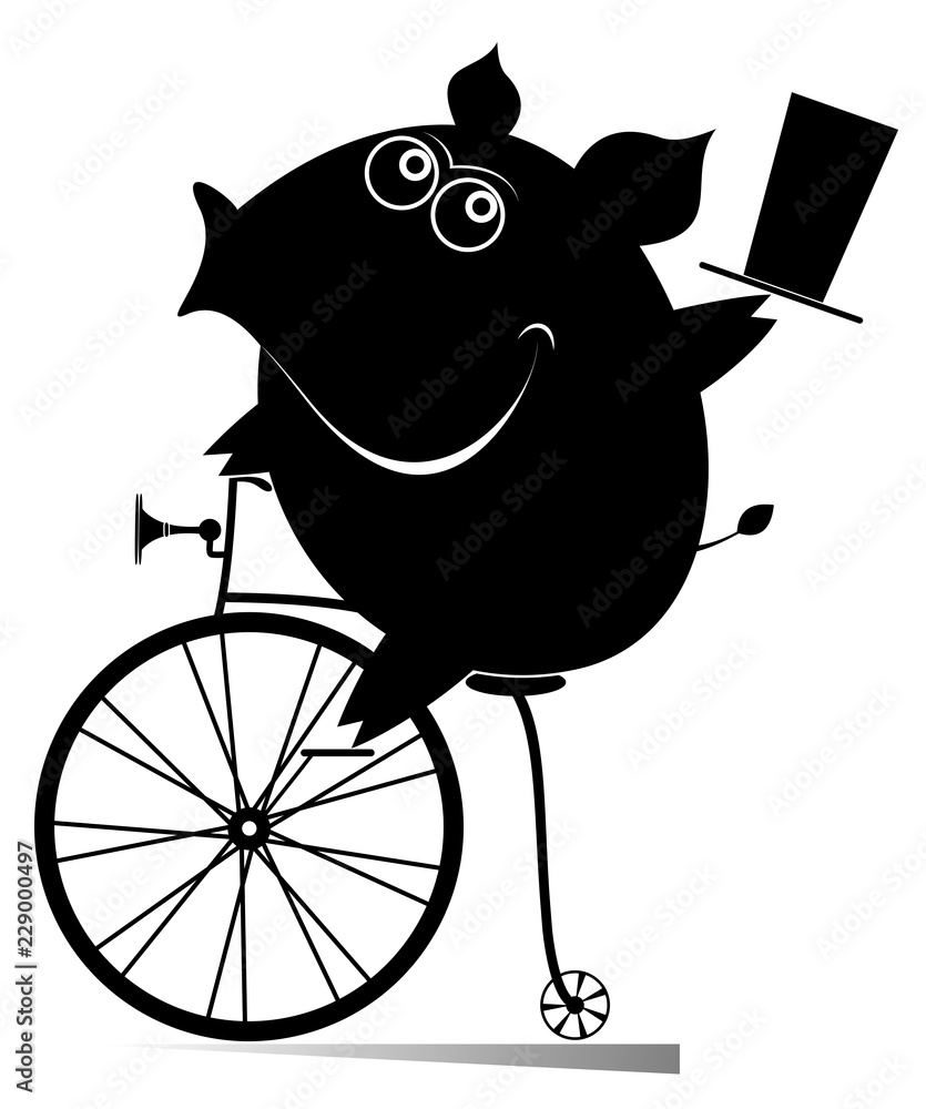 Cartoon pig rides a vintage bike illustration. Smiling cute piggy with ...