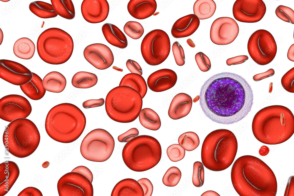 Hemotransfusion in treatment of anemia, 3D illustration showing two ...