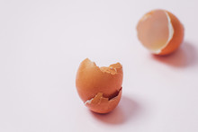 Egg Shell Free Stock Photo - Public Domain Pictures