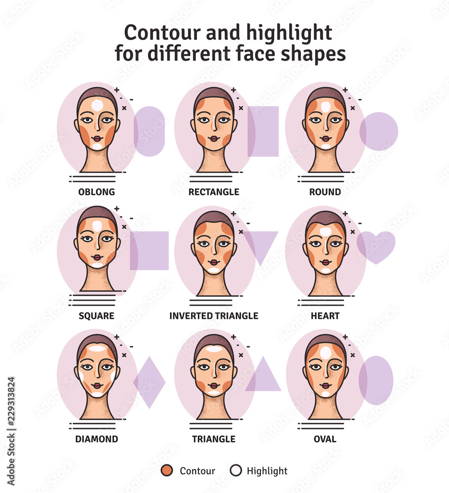 Contouring and highlight makeup guide. Vector set of different types of ...