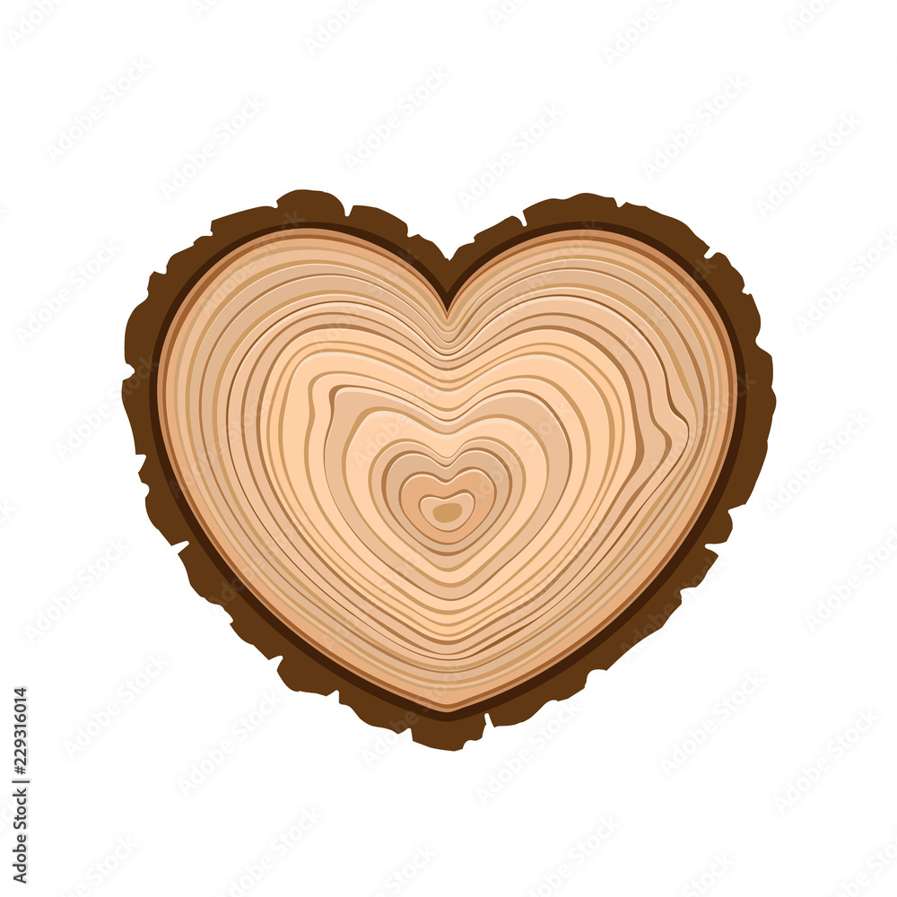 I love wood cutting tree as symbol of heart timber rings and bark Stock ...