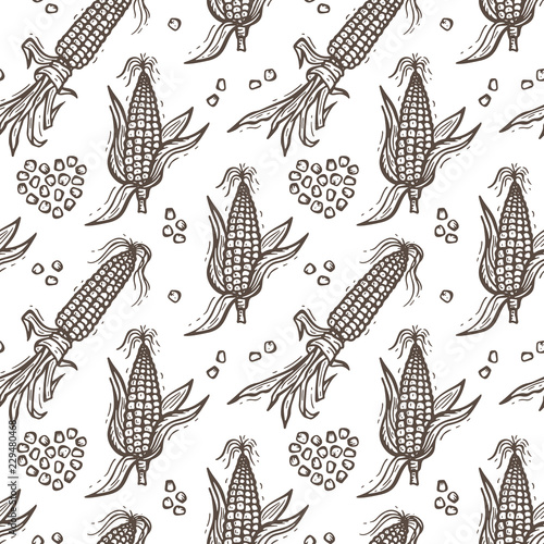Seamless Pattern with Flint Corn (Indian corn or calico corn). Hand ...