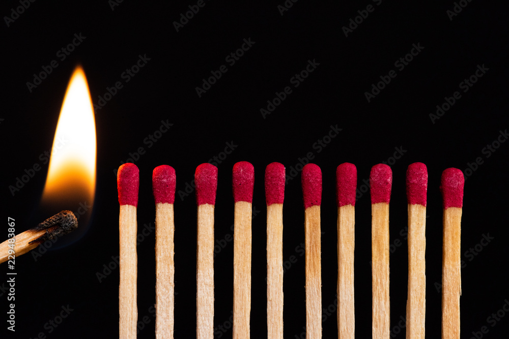 Lit match next to a row of unlit matches. The Passion of One Ignites ...