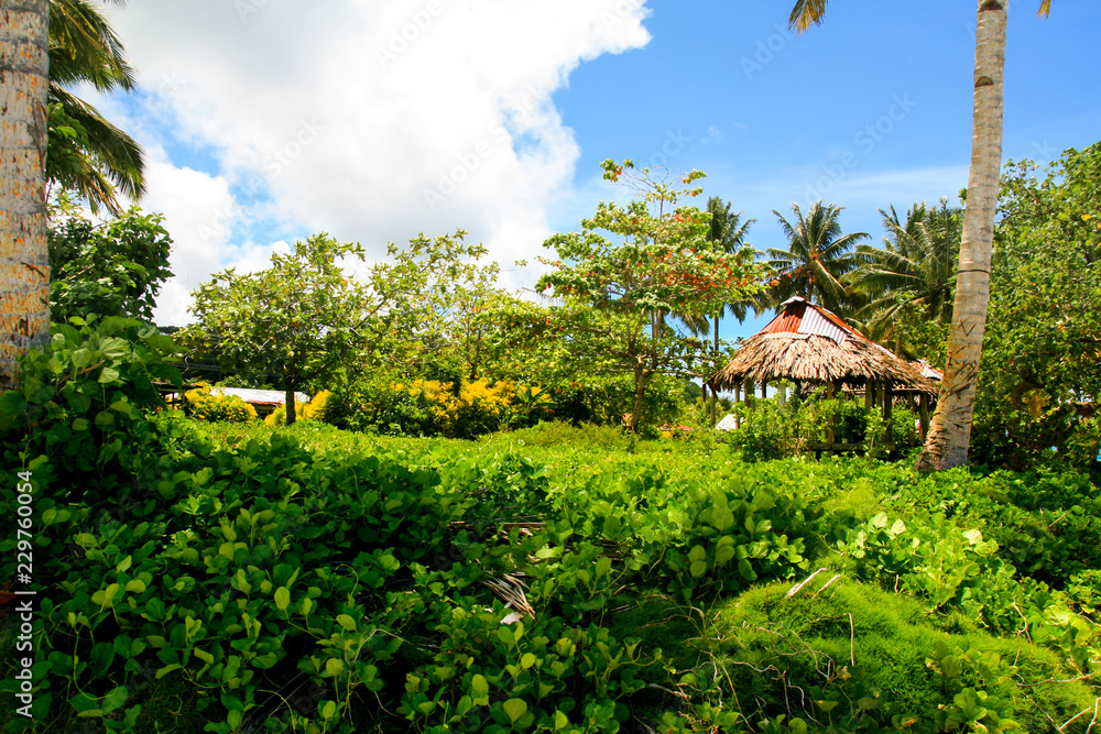 Tropical island jungle in Oceania with traditional primitive ...