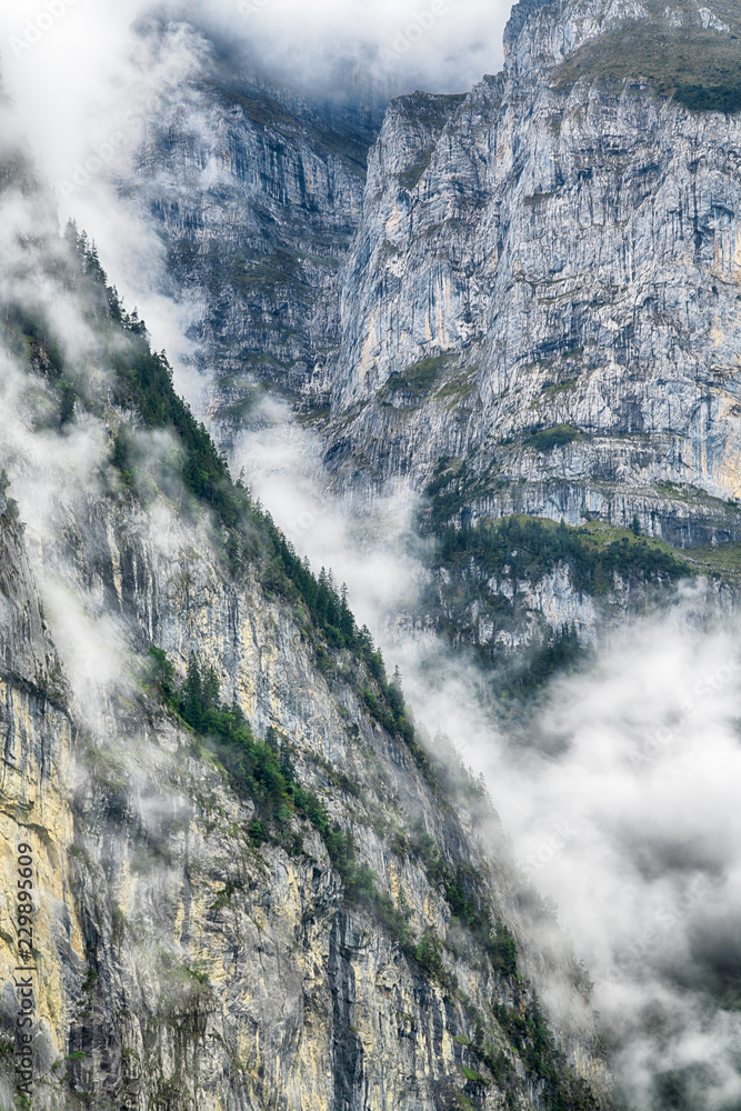 Silhouette of tree-line shaded by mist and clouds with background of ...