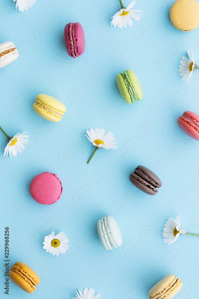 Macaron and daisy background Stock Photo | Adobe Stock