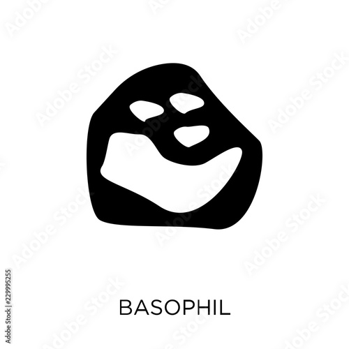 Basophil icon. Basophil symbol design from Human Body Parts collection ...