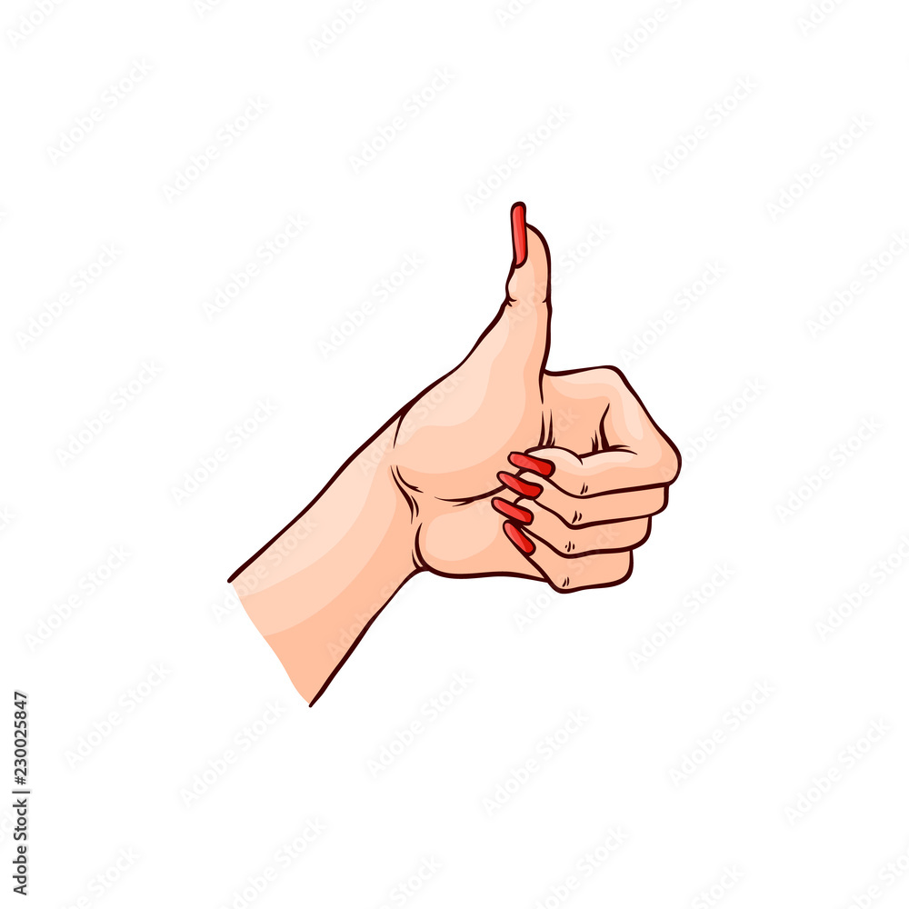 Vector illustration of female hand with thumbs up gesture in sketch ...