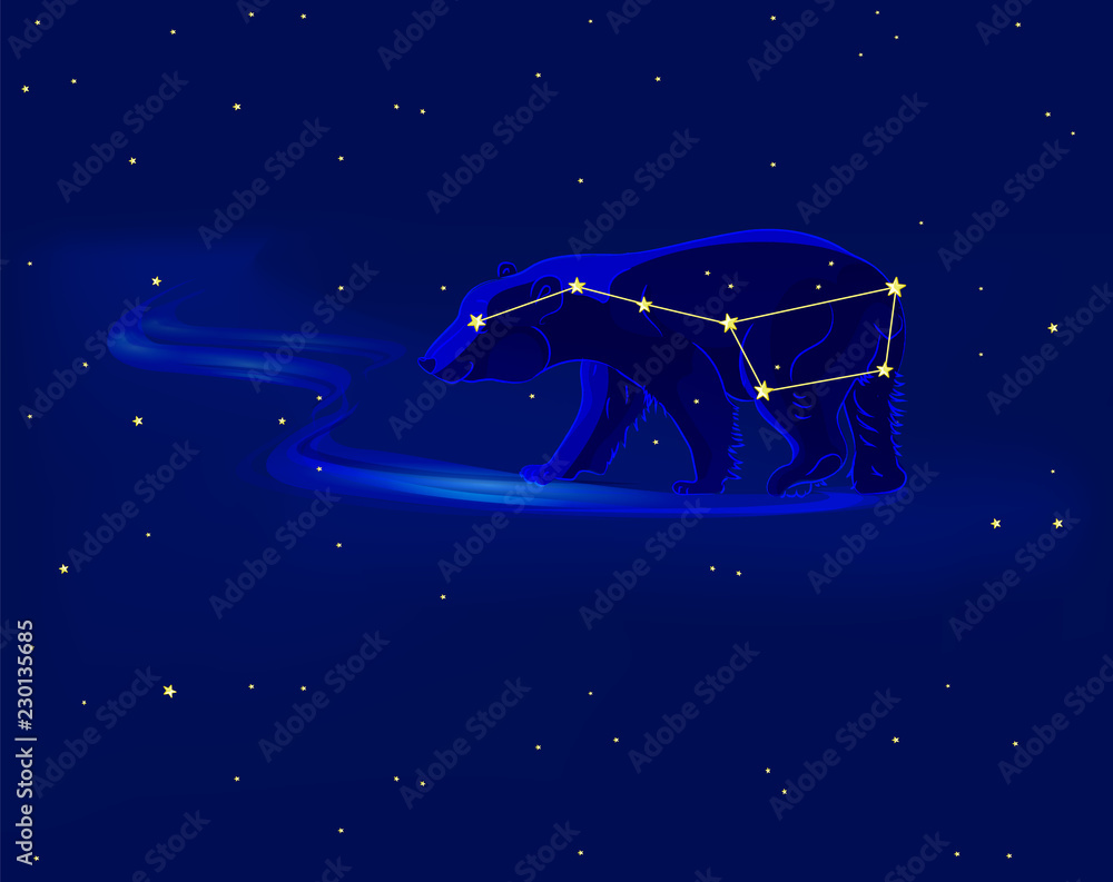 Ursa Major. Cute polar bear. The great bear star. Vector illustration ...