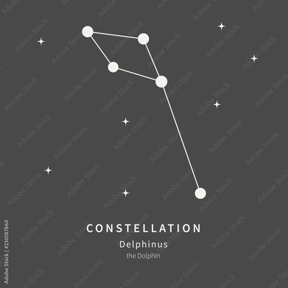The Constellation Of Delphinus. The Dolphin - linear icon. Vector ...
