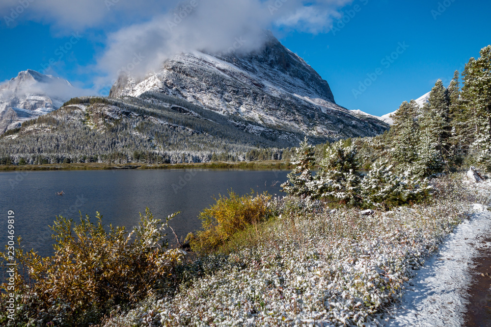 Snow covers the vegitation and trail after a snow storm. Swiftcurrent ...