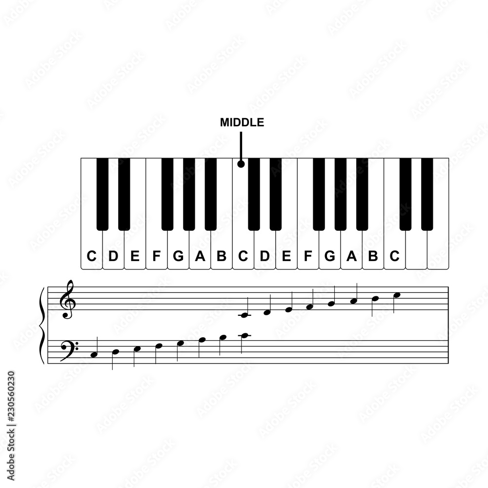 Piano keyboard diagram - piano keyboard layout on white background ...