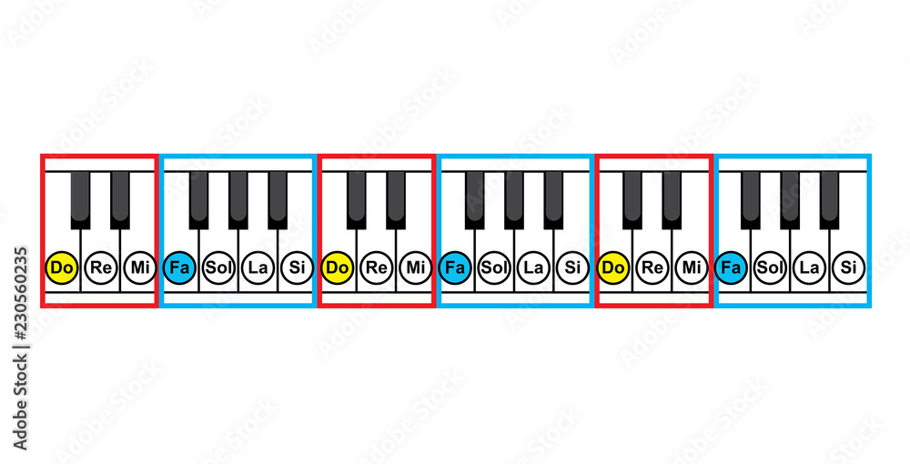 Piano keyboard diagram - piano keyboard layout on white background ...