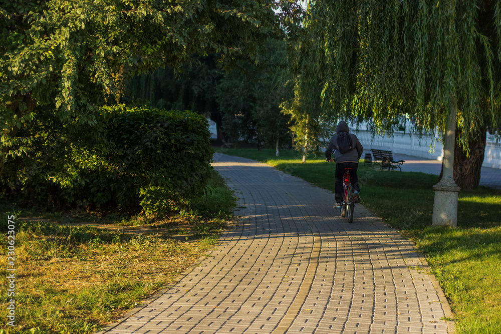 cycle road ans guy back to camera walking on cycle in park outdoor ...