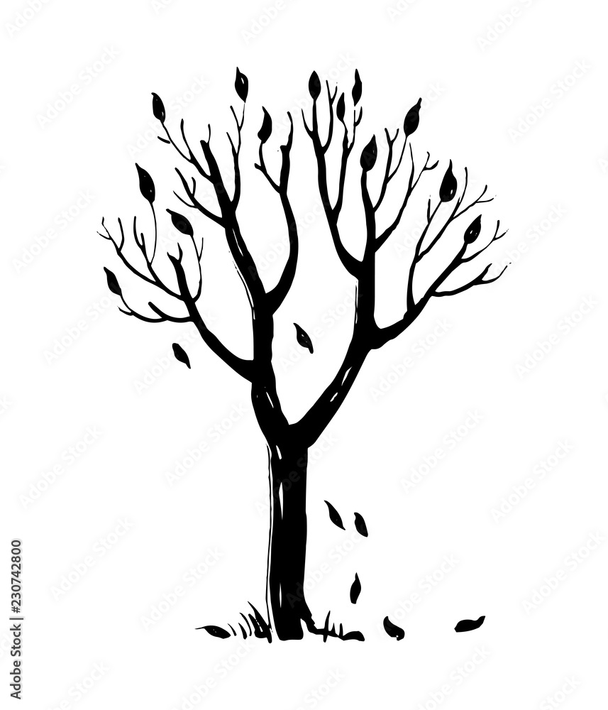 Hand drawn autumn tree silhouette with falling leaves. Ink vector ...