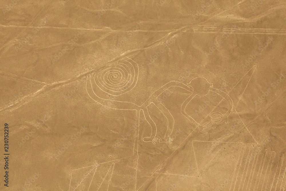Stockfoto The monkey glyph on the Nazca Plain is one of the most ...