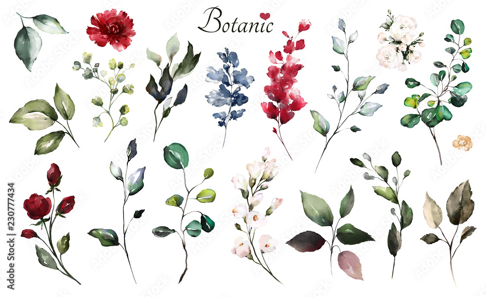 Set watercolor elements - wildflowers, herbs, leaf. collection garden ...
