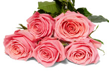 Five Pink Roses On Wood Free Stock Photo - Public Domain Pictures