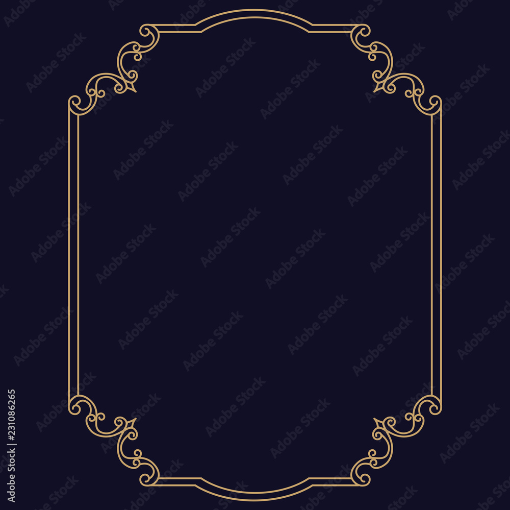 Vector thin gold beautiful decorative vintage frame for your design ...