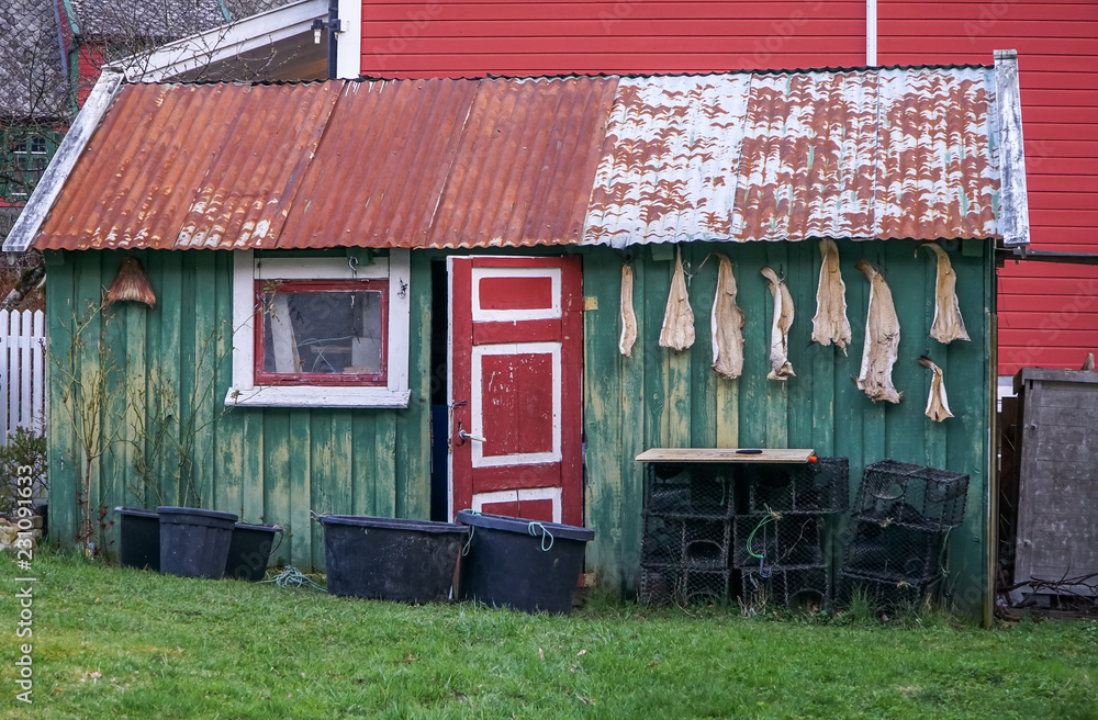 Traditional Norwegian fish house fisherman's cottage with red door and ...