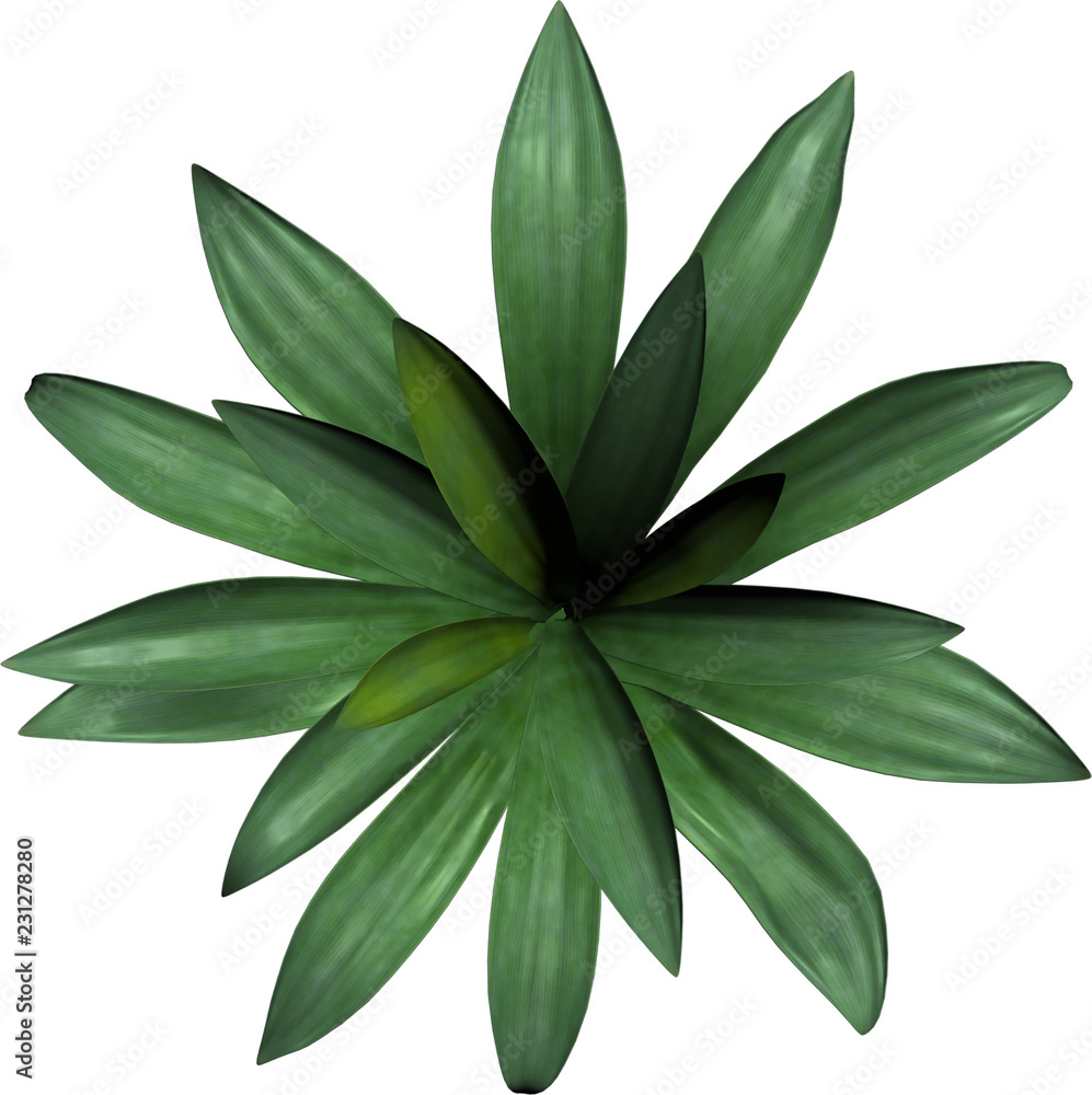 Plant and Tree top view / overhead symbols and icons isolated on white ...