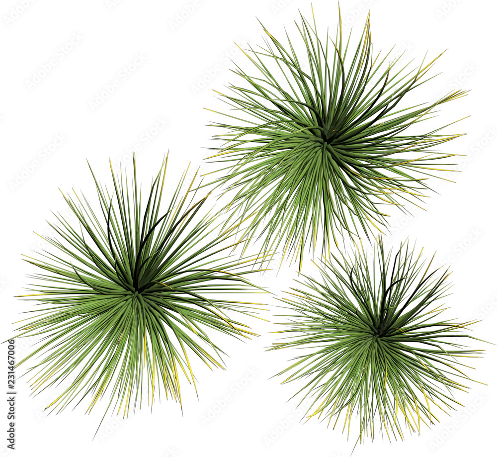 Illustration Stock Plant & Tree overhead icon / top view symbols ...