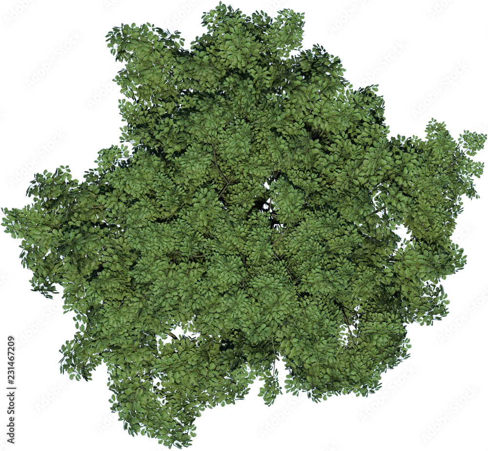 Plant & Tree overhead icon / top view symbols isolated on white ...