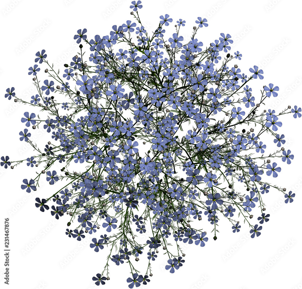 Plant & Tree overhead icon / top view symbols isolated on white ...