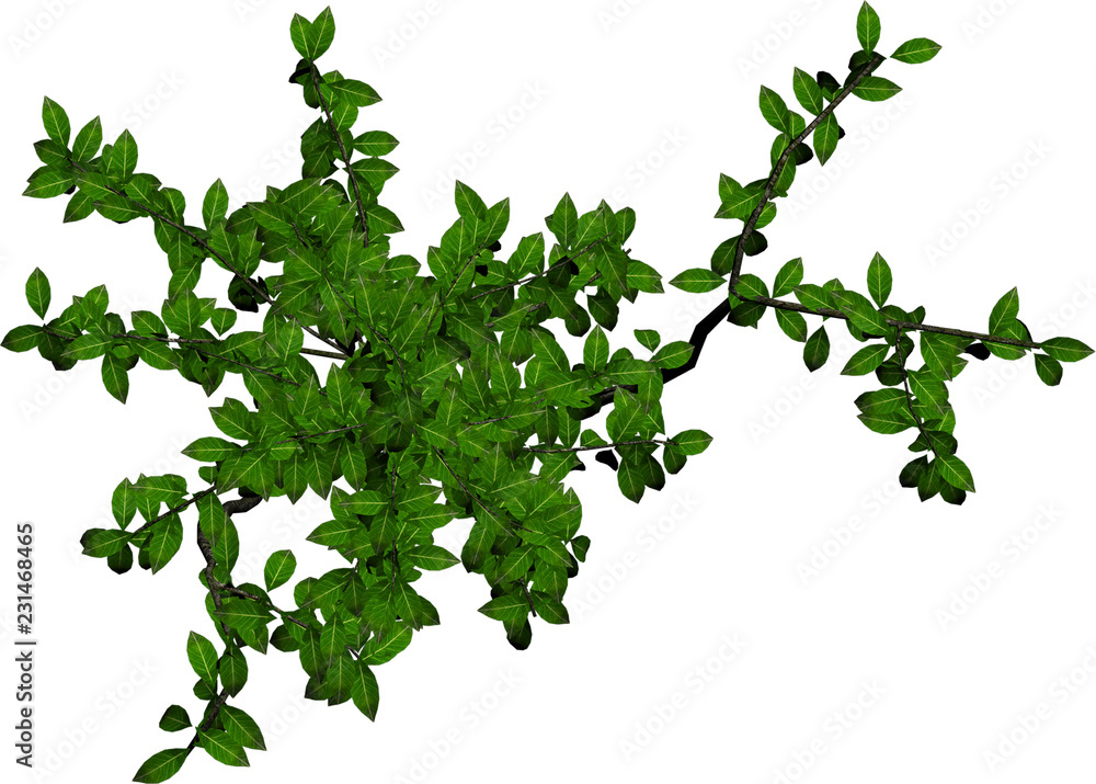 Plant & Tree overhead icon / top view symbols isolated on white ...