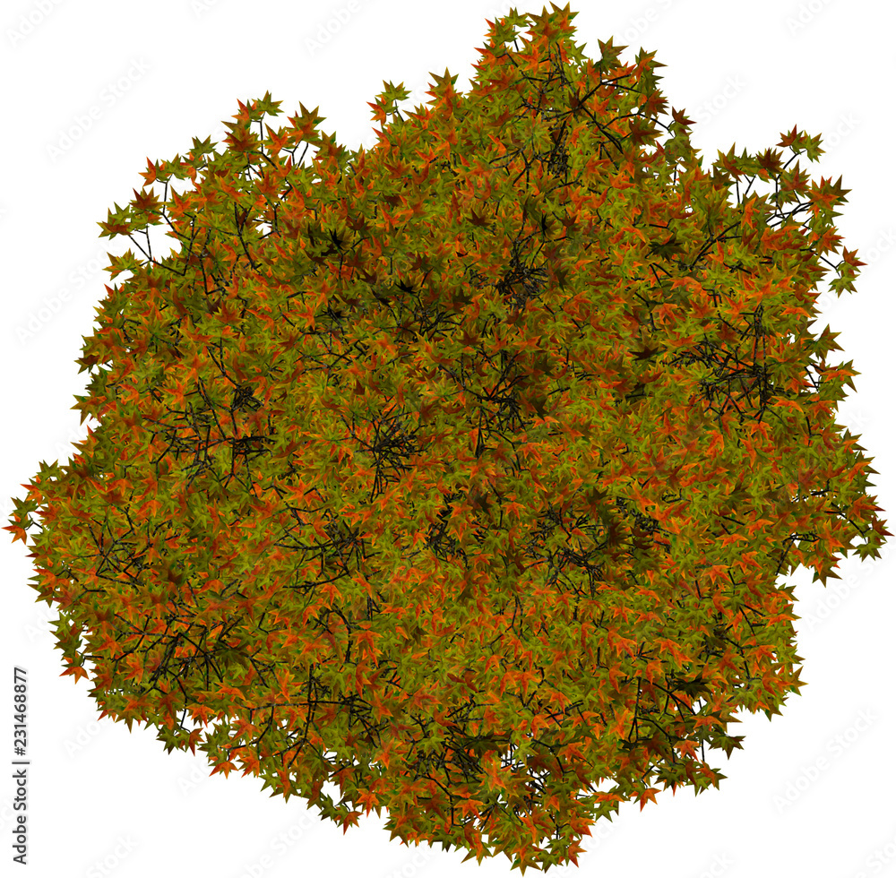 Illustration Stock Plant & Tree overhead icon / top view symbols ...