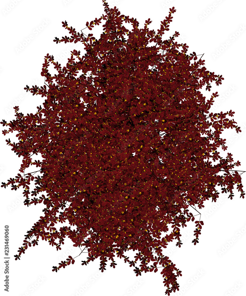 Plant & Tree overhead icon / top view symbols isolated on white ...