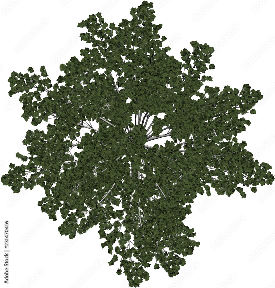 Illustration Stock Plant & Tree overhead icon / top view symbols ...