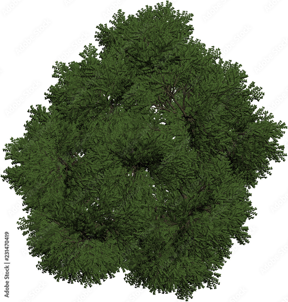 Illustration Stock Plant & Tree overhead icon / top view symbols ...