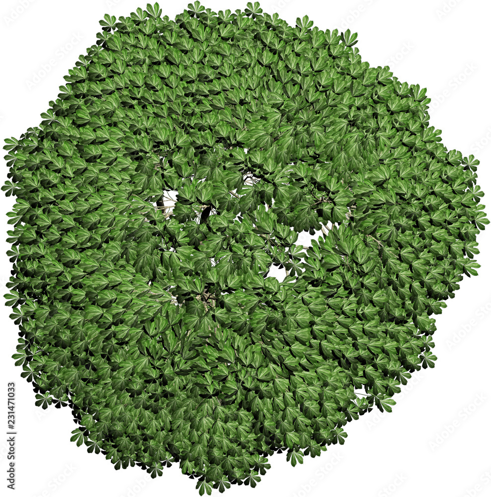 Plant & Tree overhead icon / top view symbols isolated on white ...