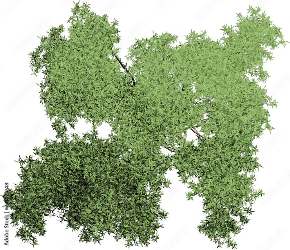 Illustration Stock Plant & Tree overhead icon / top view symbols ...