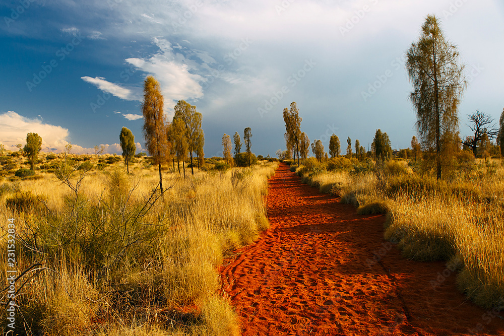 Uluru landscape , Australia Stock Photo | Adobe Stock
