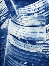 Cyanotype Leaves Free Stock Photo - Public Domain Pictures