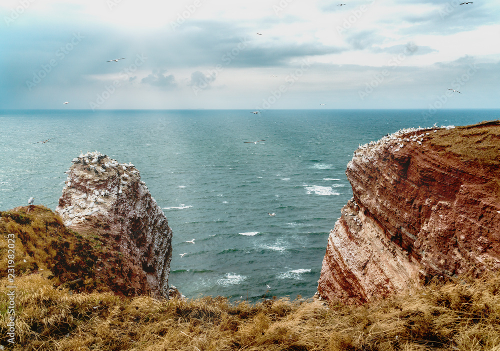 View from a grass edge over the mountain cliffs of Helgoland in the ...