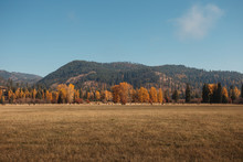 Autumn Field Free Stock Photo - Public Domain Pictures