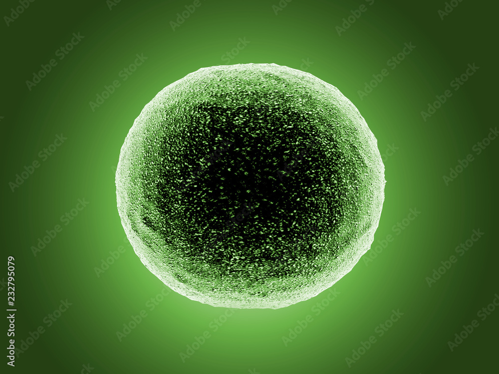 Bakterium (Kokken) Stock Photo | Adobe Stock