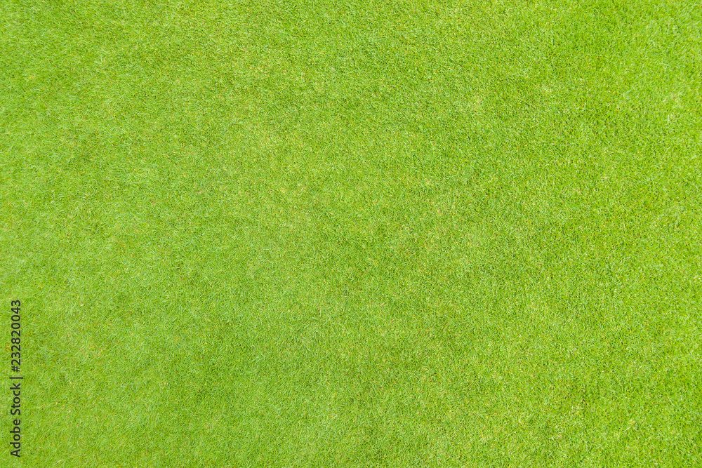 Golf puttin green grass texture top view Stock Photo | Adobe Stock
